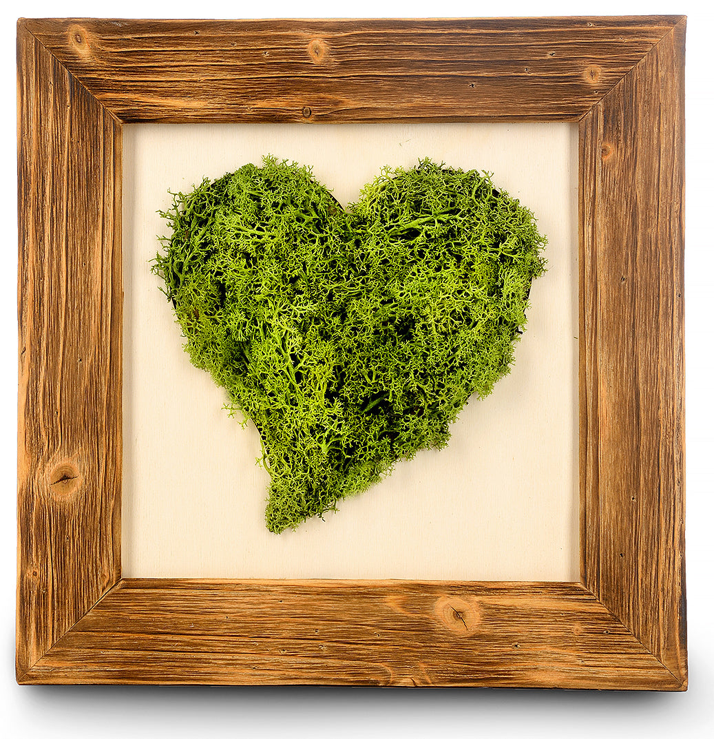 Moosbilder Altholzrahmen Dekor - Foto Lebesmühlbacher – tagged "LED ...